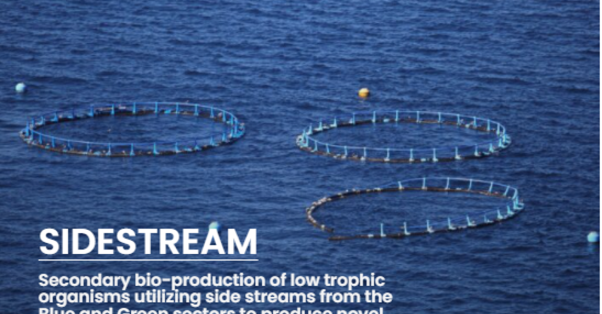 SIDESTREAM | JPI Oceans