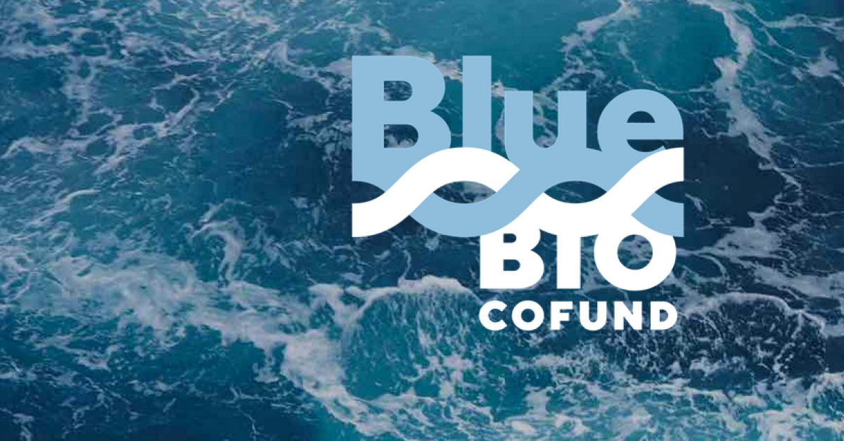 BlueBio end-term evaluation for Cofunded projects | JPI Oceans
