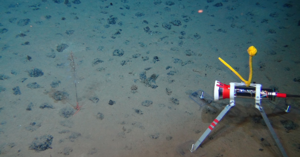 Call for Expression of Interest: Private sector partners for Ecological ...