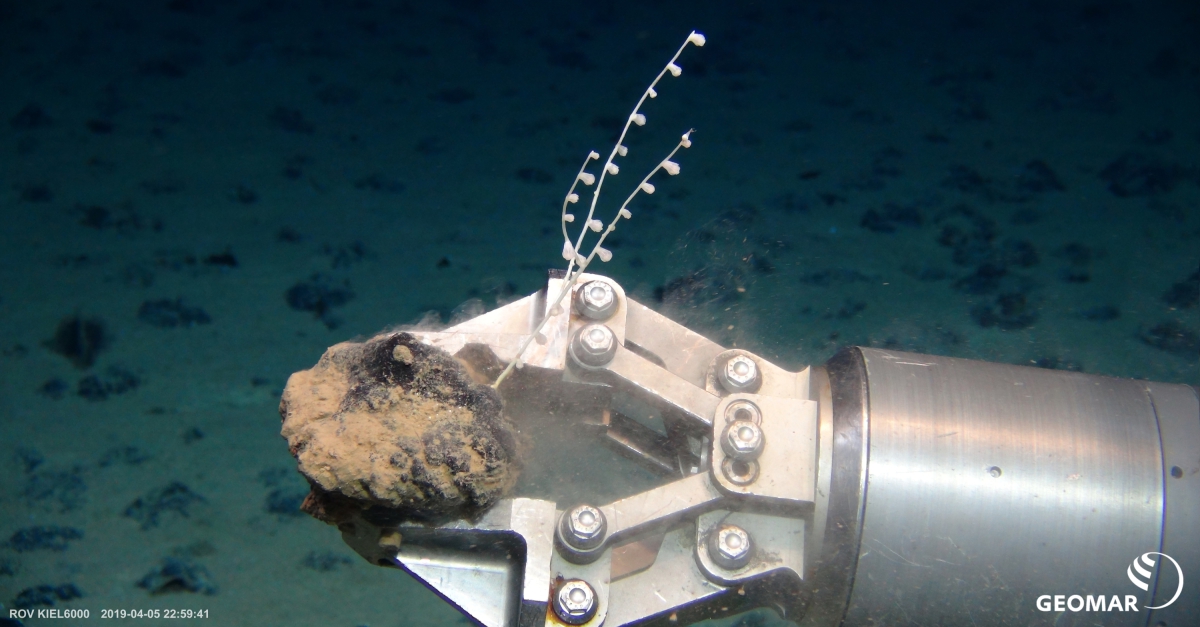 JPI Oceans continues to explore the ecological impacts of deep-sea ...